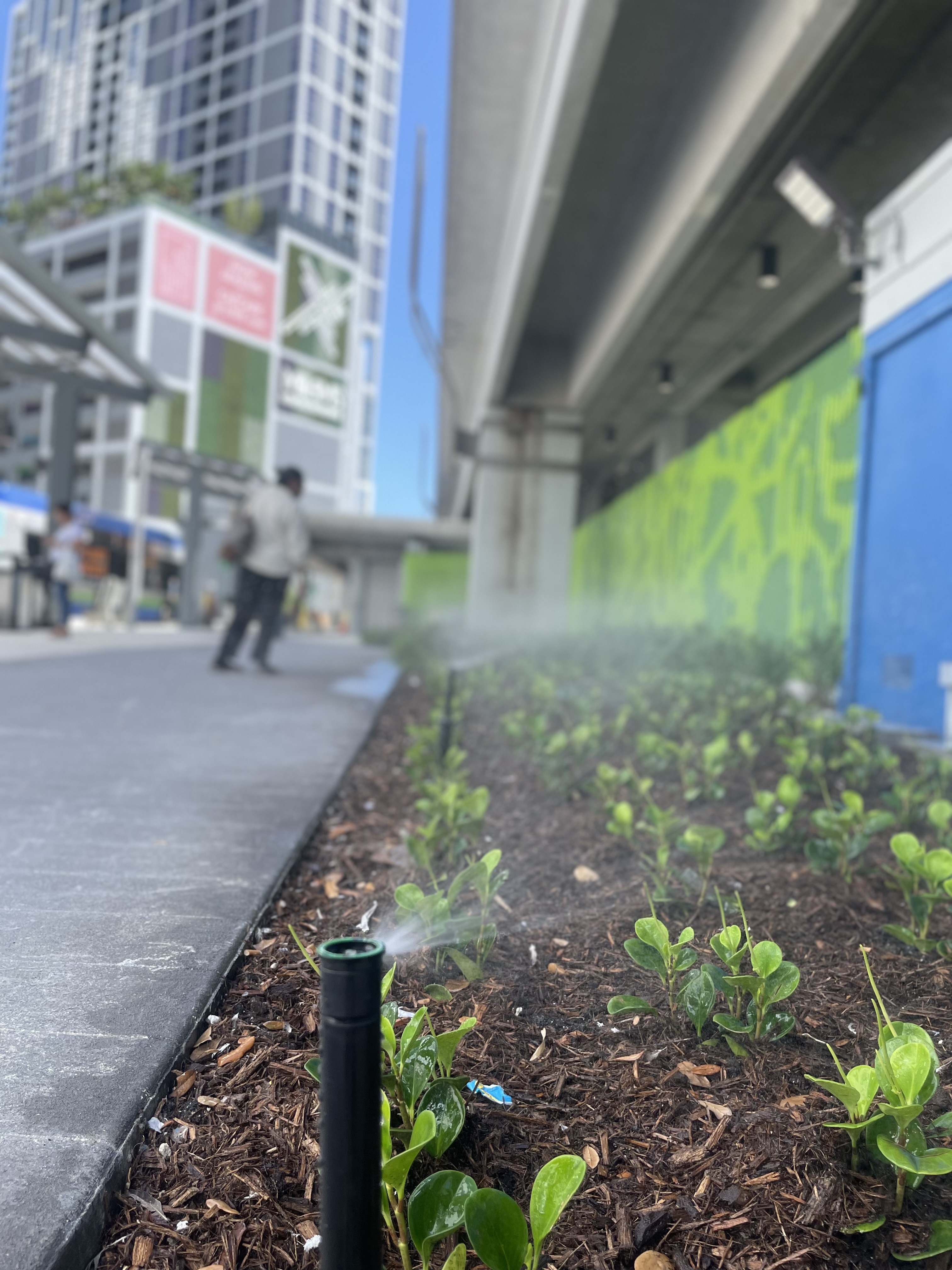 Alemans Sprinklers and Design